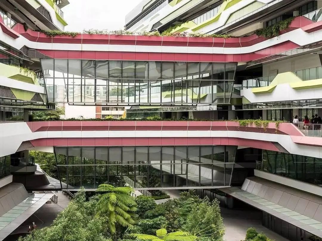 深度探索：一文通晓新加坡高等教育体制全貌